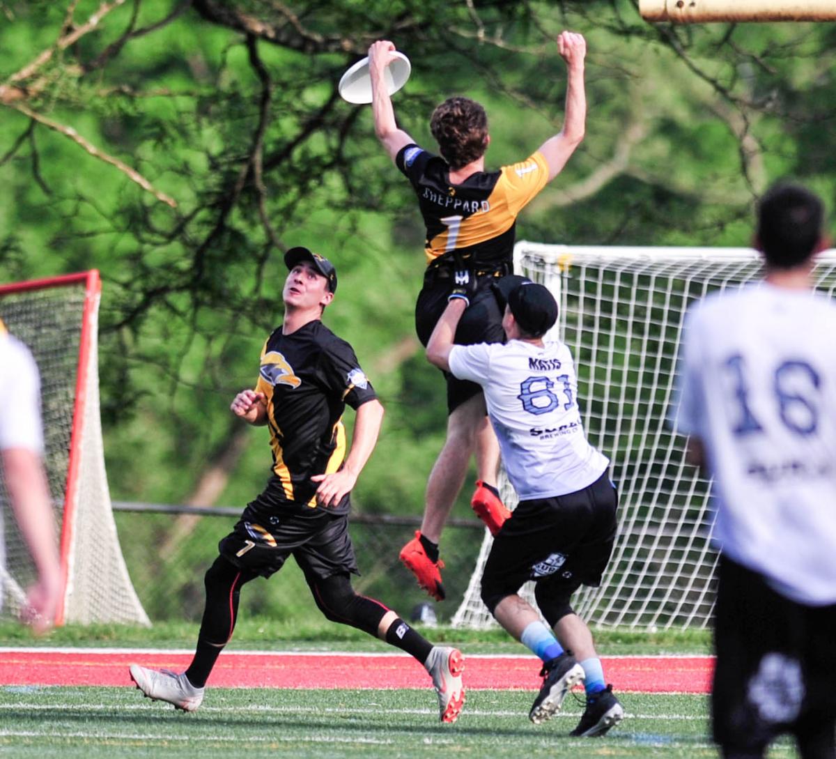 Disc In: A Chat with Max Sheppard | WatchUFA